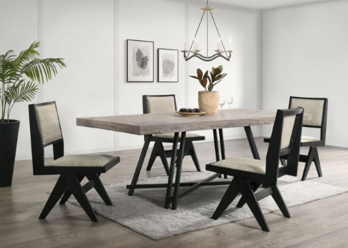 Furniture of America | Tottenham | Side Chair